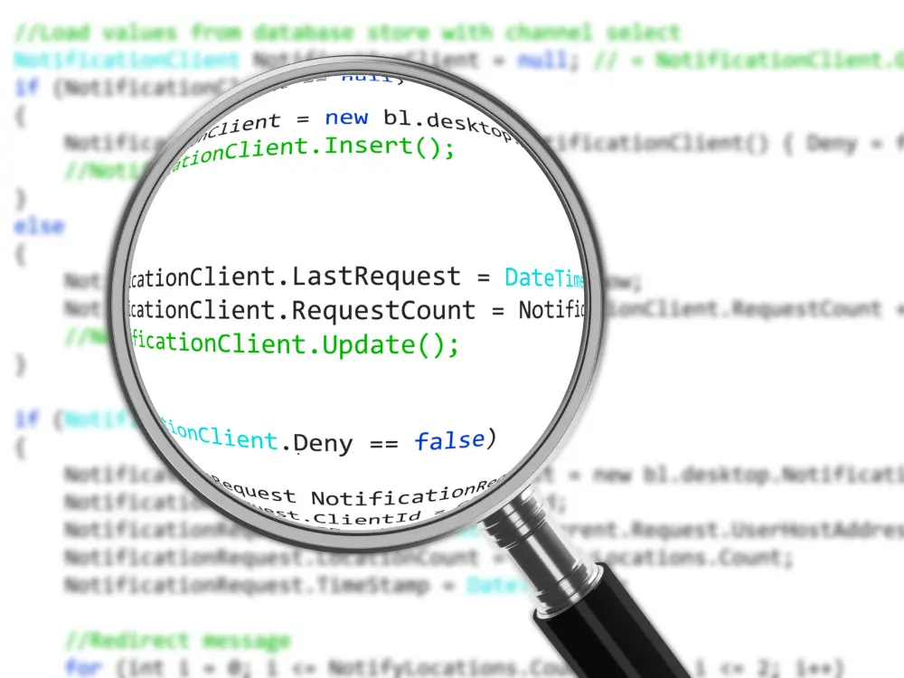 The Advantages of External Code Reviews for your Business | Netshell