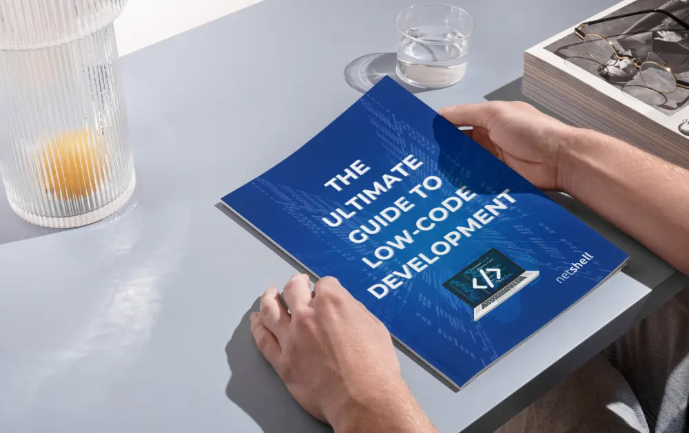 The Ultimate Guide to Low-Code Development | Netshell